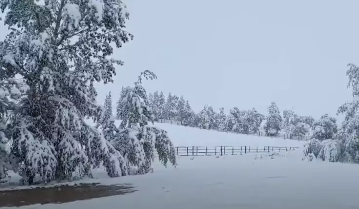 У Колорадо випав сніг через день після 40-градусної спеки