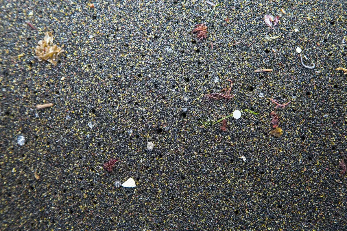 Rascorwater_peterSARARAF_MICROPLASTICASAZAZAJASE_ (2) .jpg