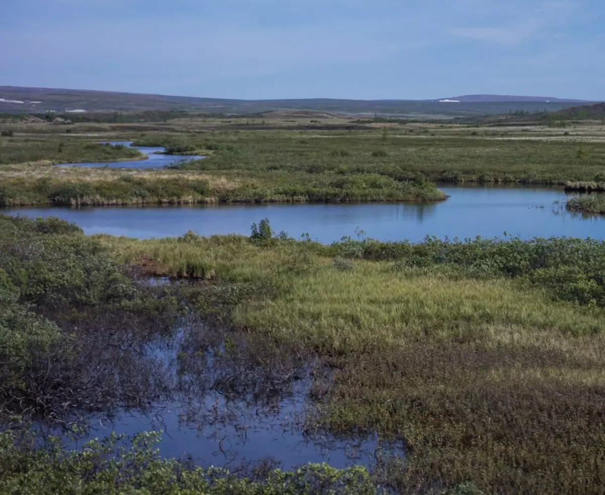 Ruski tundra zagrejala skoro 3 stepena u proteklih 50 godina