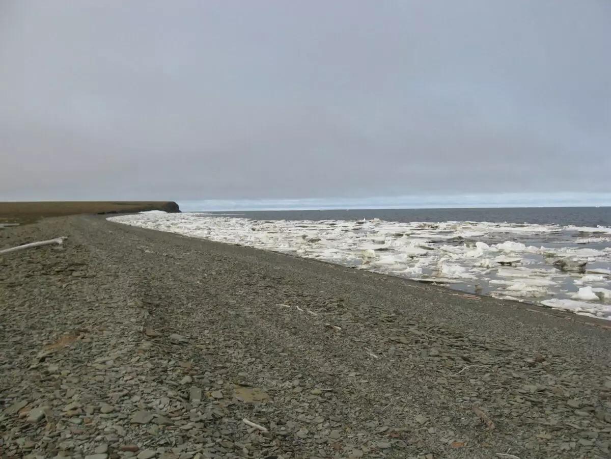 Море Лаптов за прв пат во историјата на набљудувањата не се замрзнати во октомври