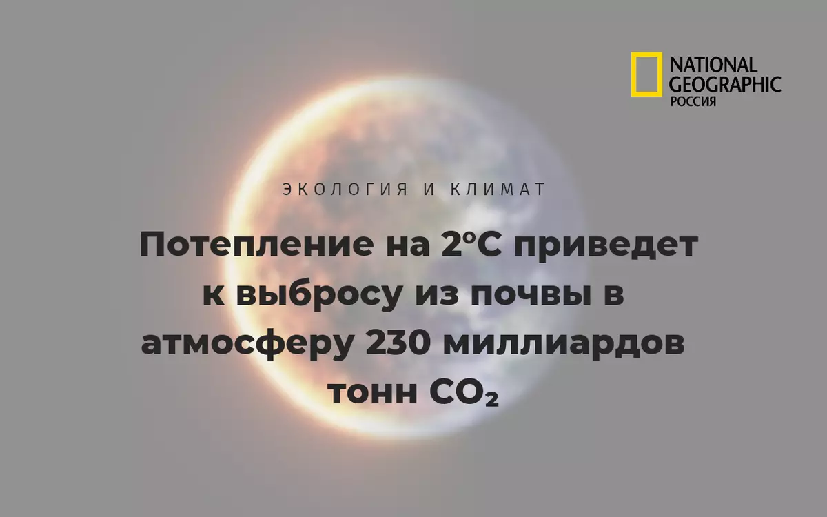 2 ° C에서 온난화는 토양에서 2,30 억 톤의 CO₂의 분위기로 떨어질 것입니다.
