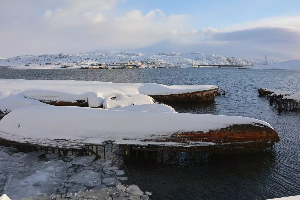 Sibir elm Arctic dəniz Atlantik prosesi aşkar