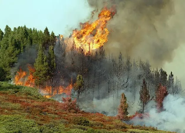 Тридесет градуса топлината в Якутия доведе до пожари