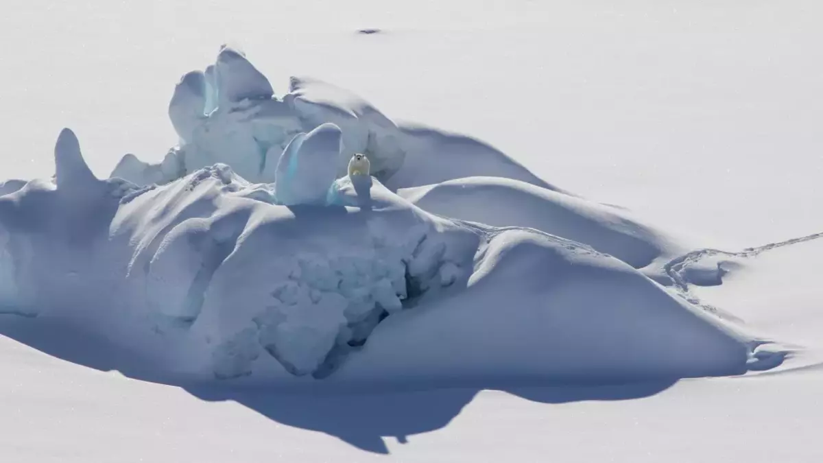 An der "leschter Eisregioun" vum Arktis huet e Rekord niddereg Eisniveau opgeholl