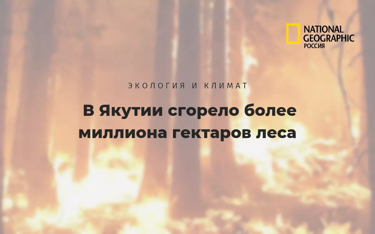 Meer as 'n miljoen hektaar bos verbrand in Yakutia
