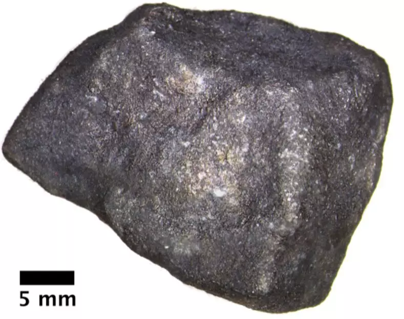 Michigan Meteorite yari yuzuyemo ibinyabuzima bidasanzwe