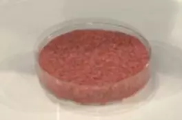 მეცნიერებმა ხელოვნური ხორცი დააყენა