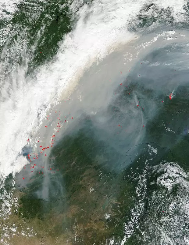 NASA Snapshots အတည်ပြုချက် - ဆိုက်ဘေးရီးယားရှိမီးလောင်မှုကိုအာကာသမှမြင်နိုင်သည်