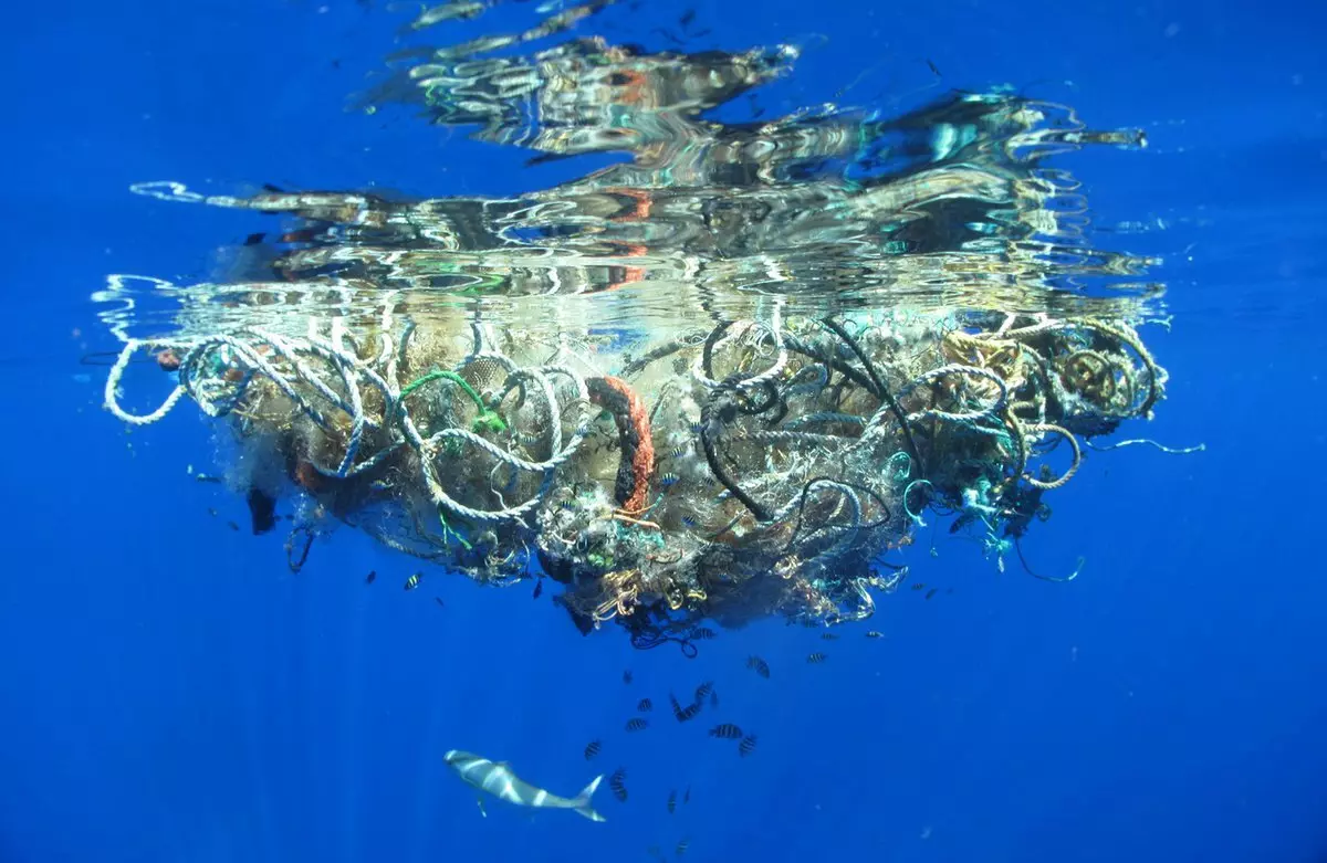 Vuoteen 2050 mennessä meressä on enemmän muovia kuin kala