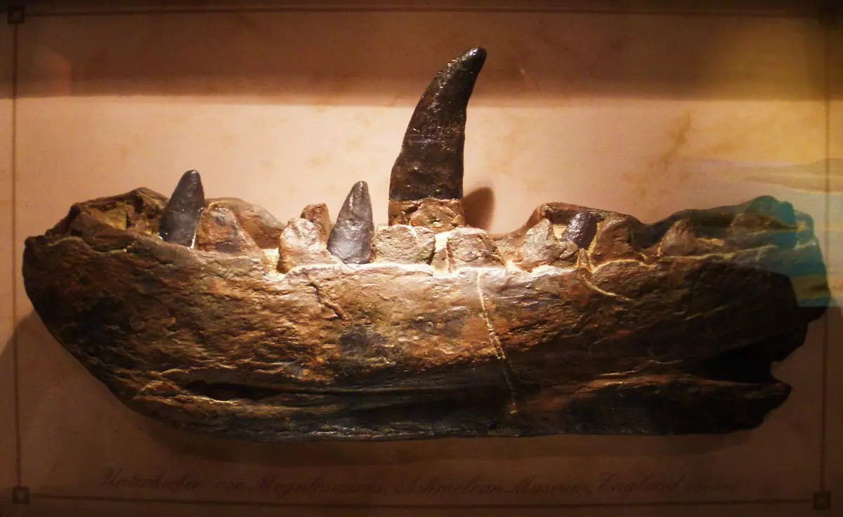 9 фосила који су се променили у диносаурусима