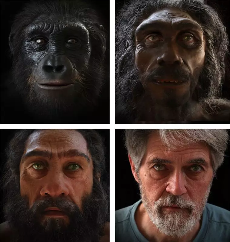 Vídeo: como a cara da persoa cambiou no proceso de evolución