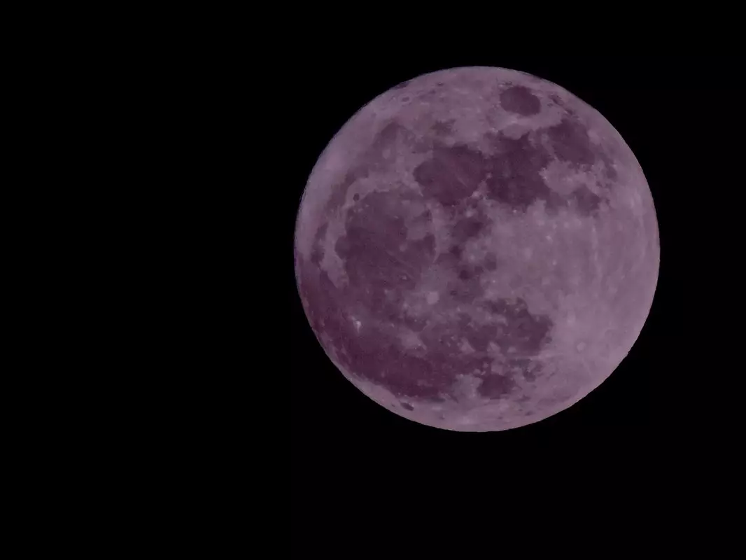 22 मेच्या रात्री, एक फ्लॉवर पूर्ण चंद्र असेल