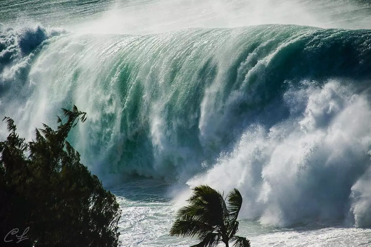 视频：20米的海浪覆盖夏威夷