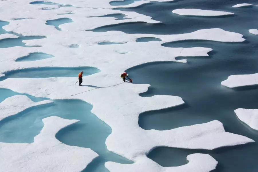 Arctic და მისი შედეგების დნობის