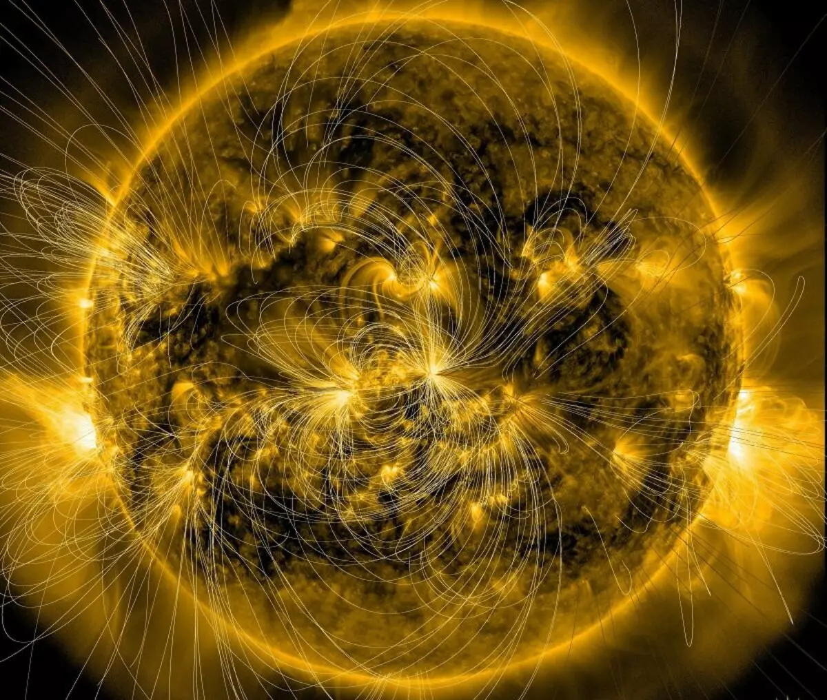 Sluneční rotace kolem své osy: Video
