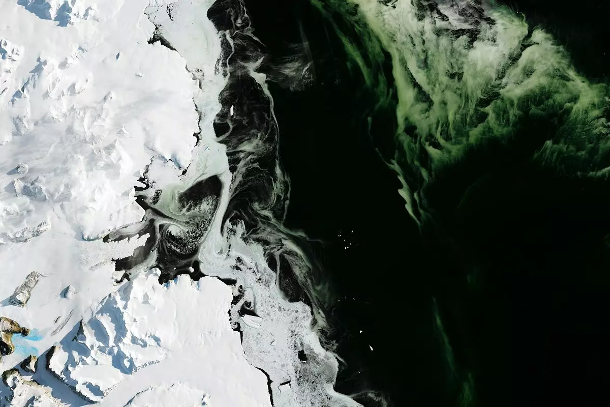 Wie tokum Antarktis: Foto vom Satelliten