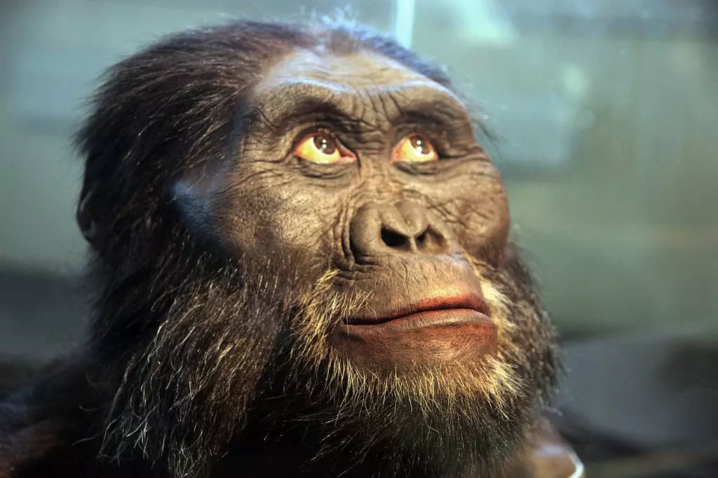 New human ancestor found in Ethiopia