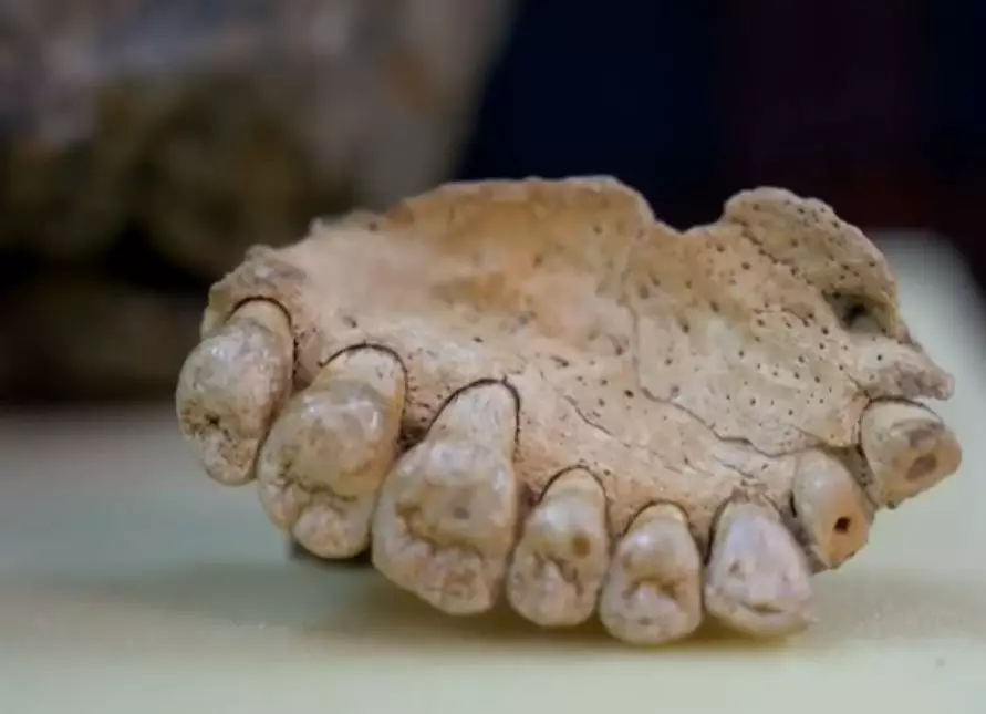 Drevni ostaci čovjeka izvan Afrike pronađeni u Izraelu