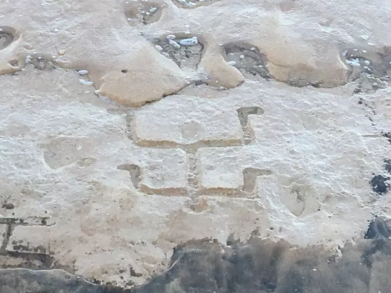 Tūristi atrada senus petroglifus Havaju pludmalē