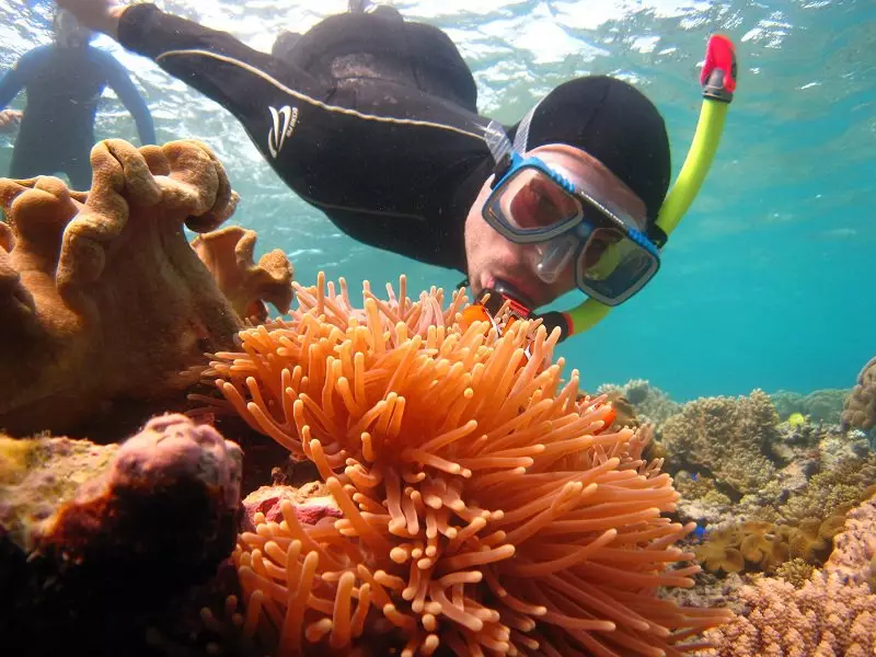 رحلة تفاعلية لالحاجز المرجاني الكبير