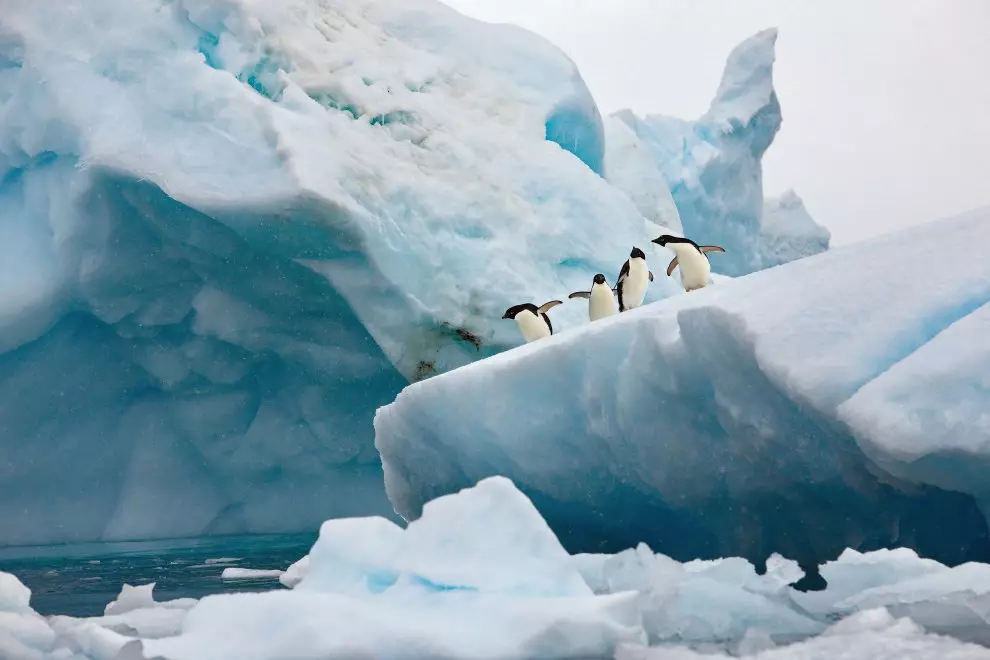 Ice gunung akan disimpan di Antartika