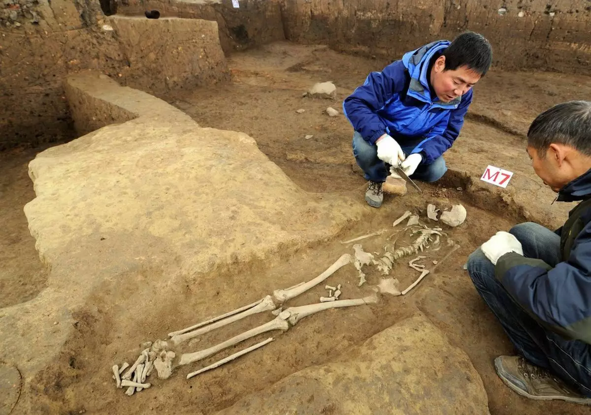 चीनमध्ये प्राचीन दिग्गजांचे अवशेष सापडले: व्हिडिओ