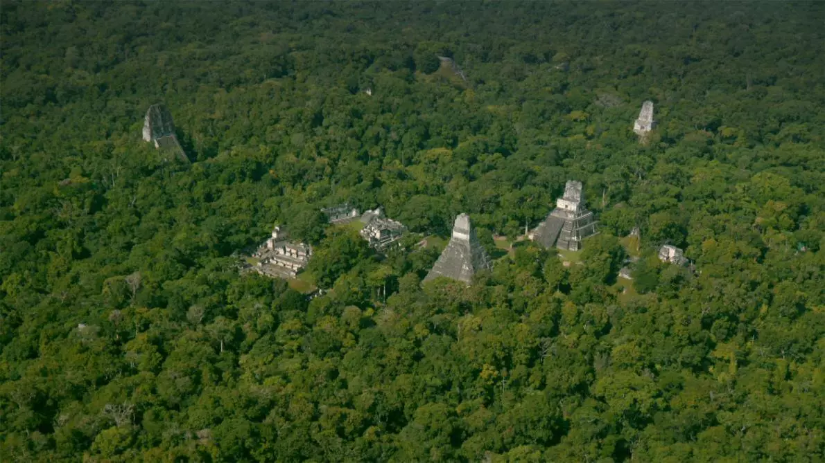 Jungle Gvatemalada 60,000 Maya binolari topildi
