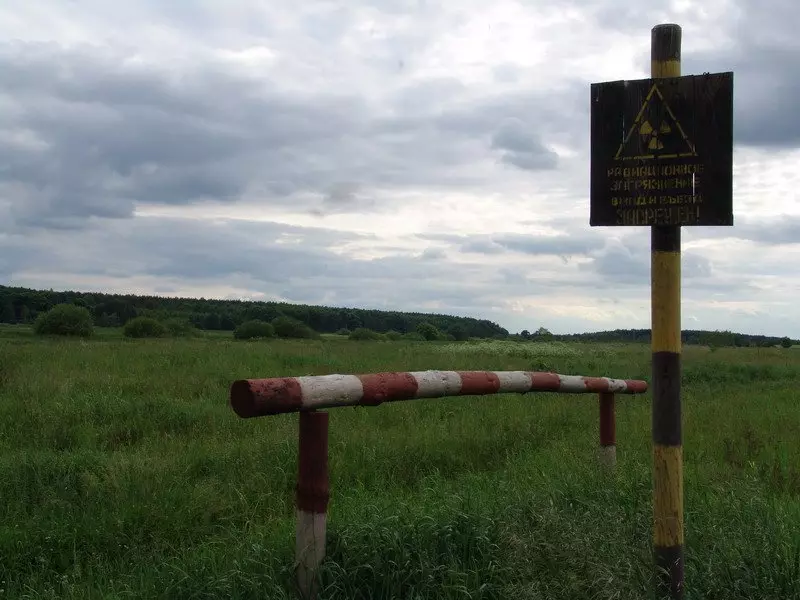 Число тварин в Чорнобилі активно зростає, незважаючи на радіацію
