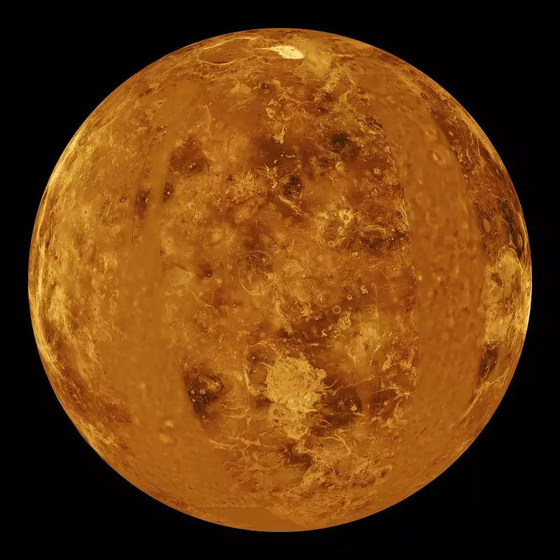 La vita su Venere è offerto per la ricerca tra le nuvole