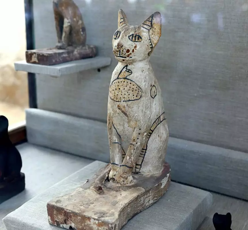 nécropoles non-famine: chats momie et scarabées trouvés en Egypte
