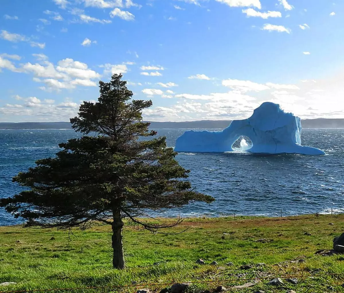 Neobvyklý ledovec se plavil do Kanady