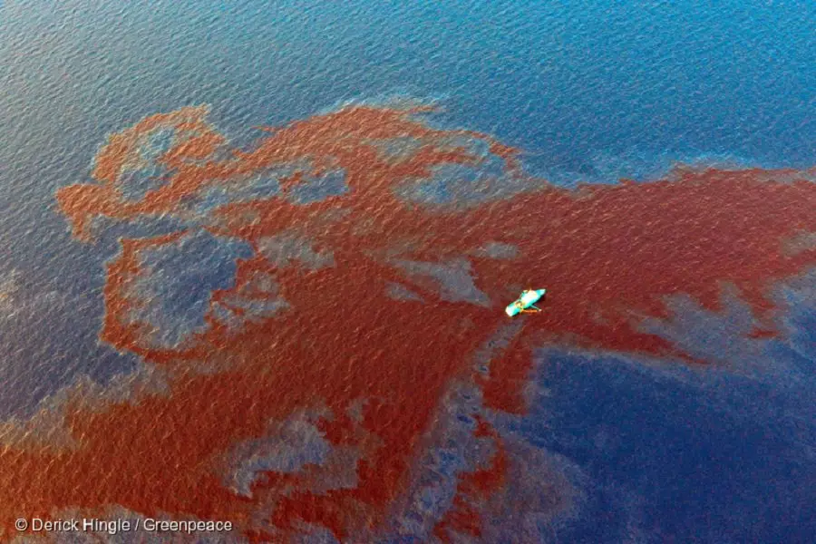 Nuovo sversamento di petrolio nel Golfo del Messico