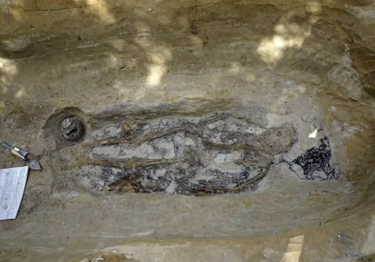 고고학자들은 Beresto에 싸여있는 고대 남자의 유적을 발견했습니다.