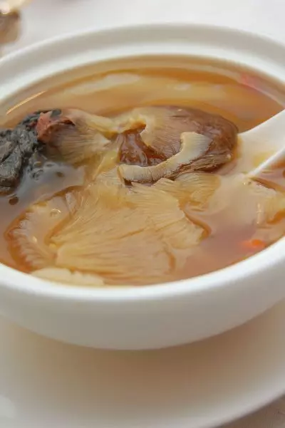 在中國民用服務禁吃鯊魚和燕窩菜