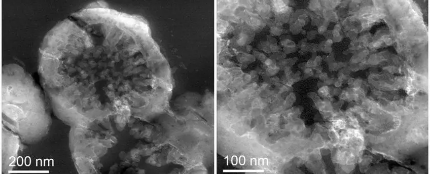 Bakterije so se dvignile na marsian meteorit