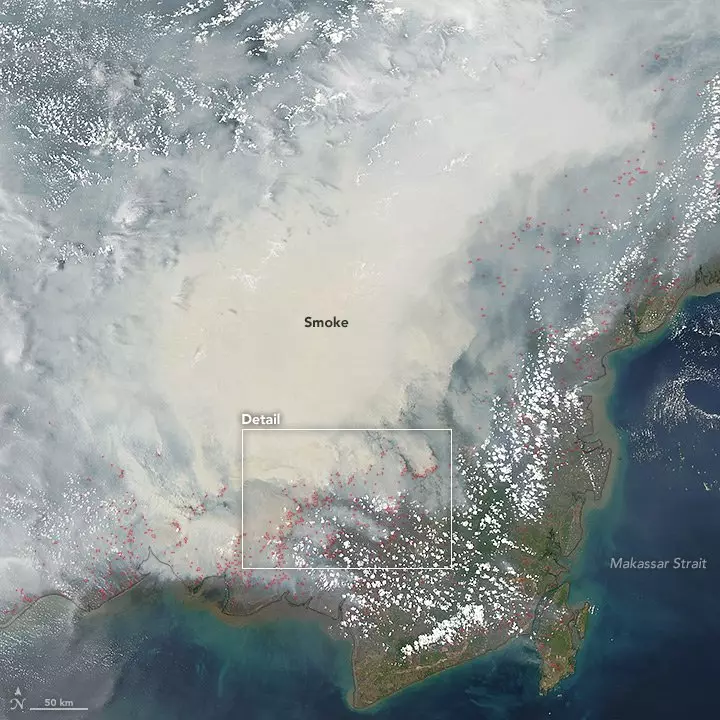 Пожари на Борнео, отстранени от космоса