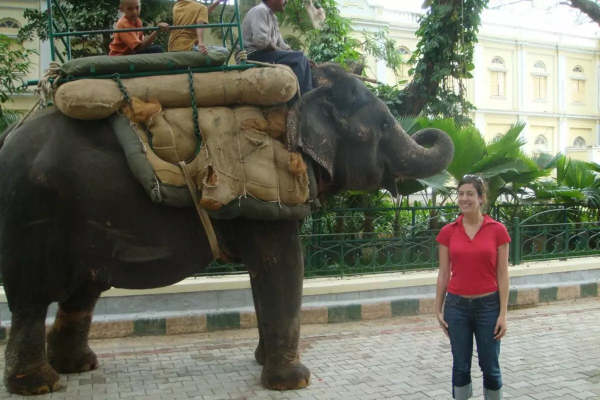 Во Индија, забрането да се вози слон
