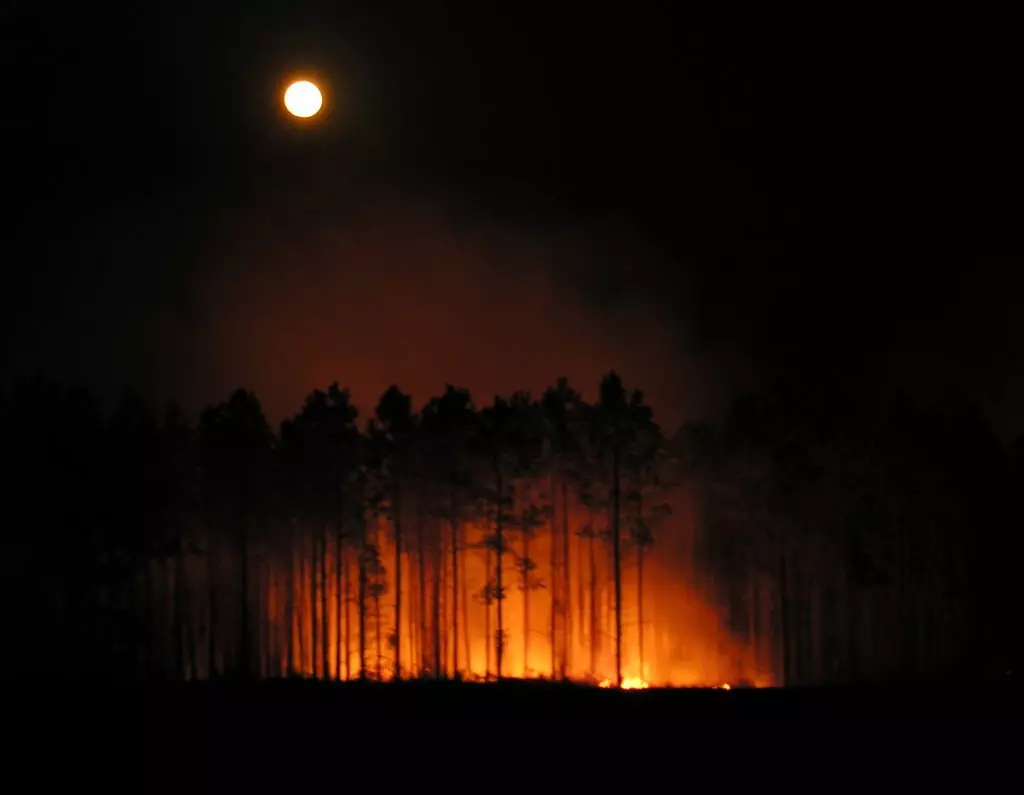 Incendies à Khakassia: qui est à blâmer et que faire
