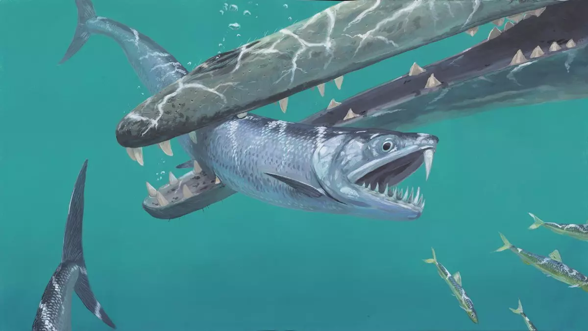 Konstigt sabel-toothed ansovis jordbruk av havet efter dinosaur utrotning