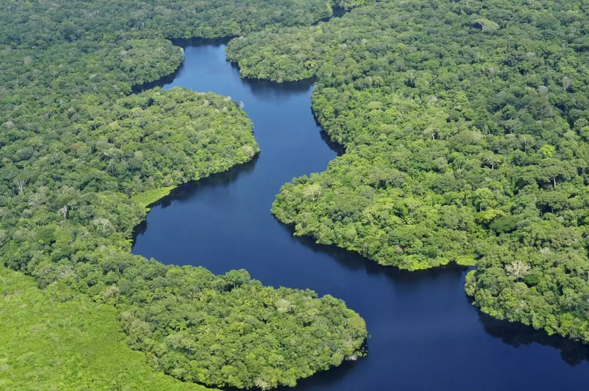 Befanns skyldig i förstörelsen av Amazonian Forests