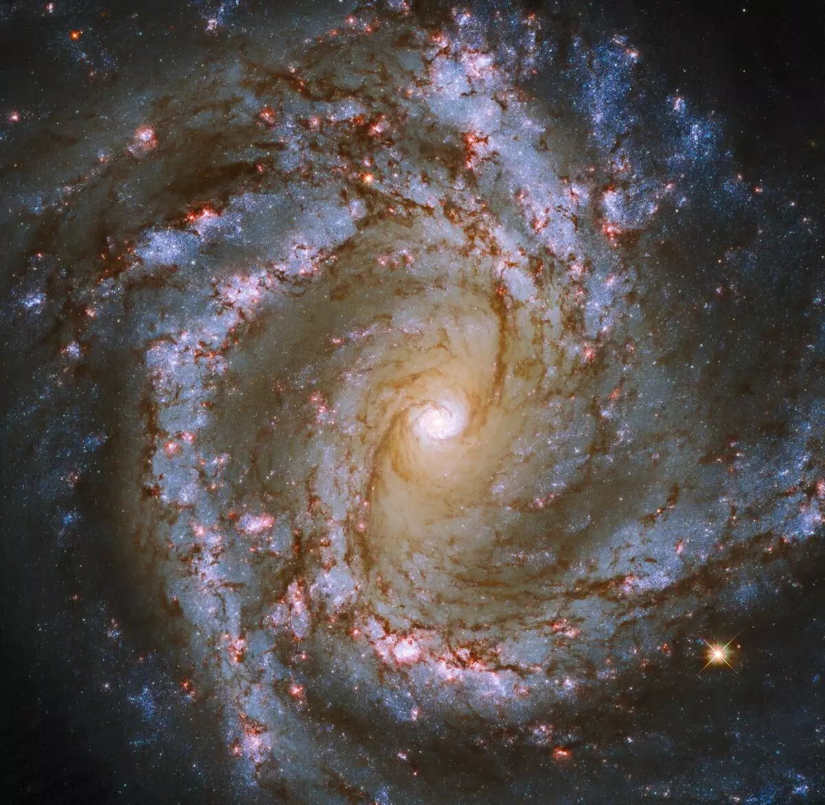 Galaxy-M61.jpg.