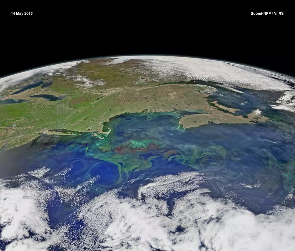 Blomstrende Phytoplankton malt Atlanterhavet