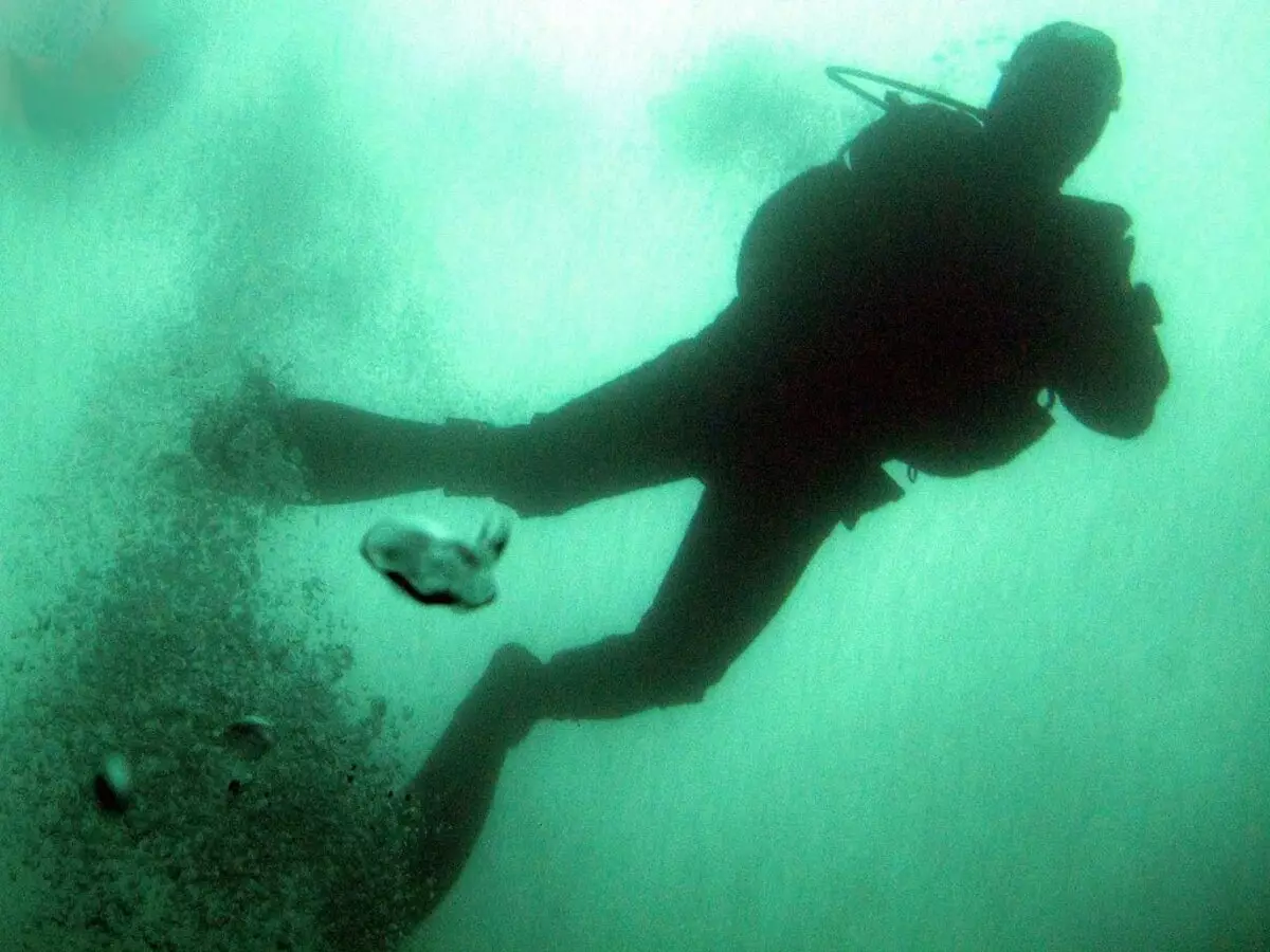 Ronioci sačuvani iz urušene podvodne pećine