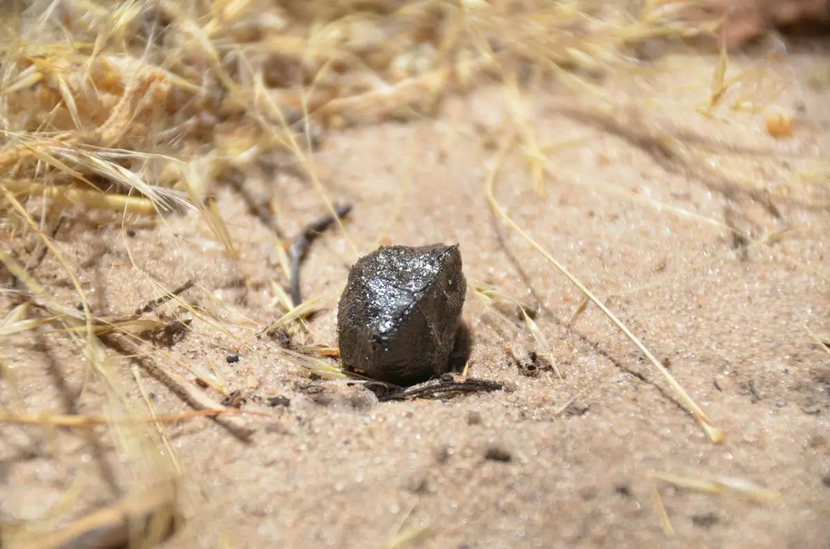 Scéal an asteroid tite ar an Domhan a rianú 22 milliún bliain ó shin