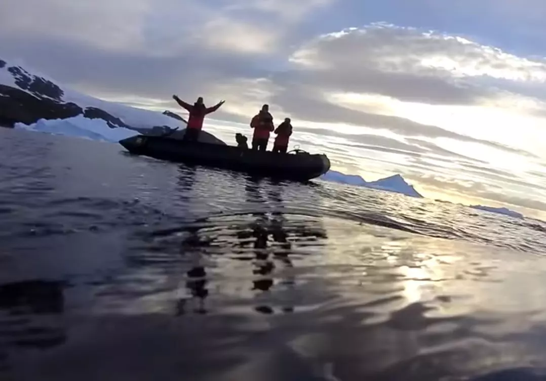 جهان از طریق چشم های نهنگ کوهنوردی: ویدئو