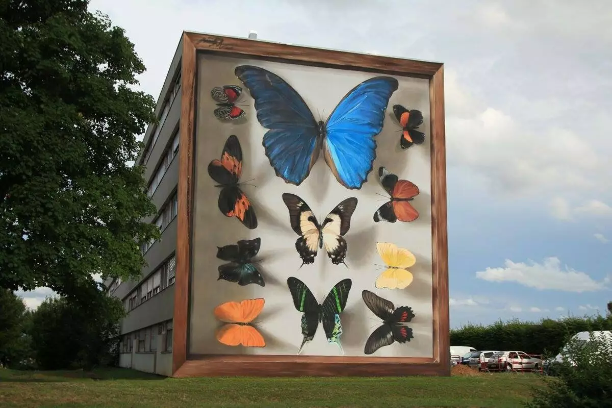 الفراشات مع منزل. جمال الطبيعة في الكتابة على الجدران 3D