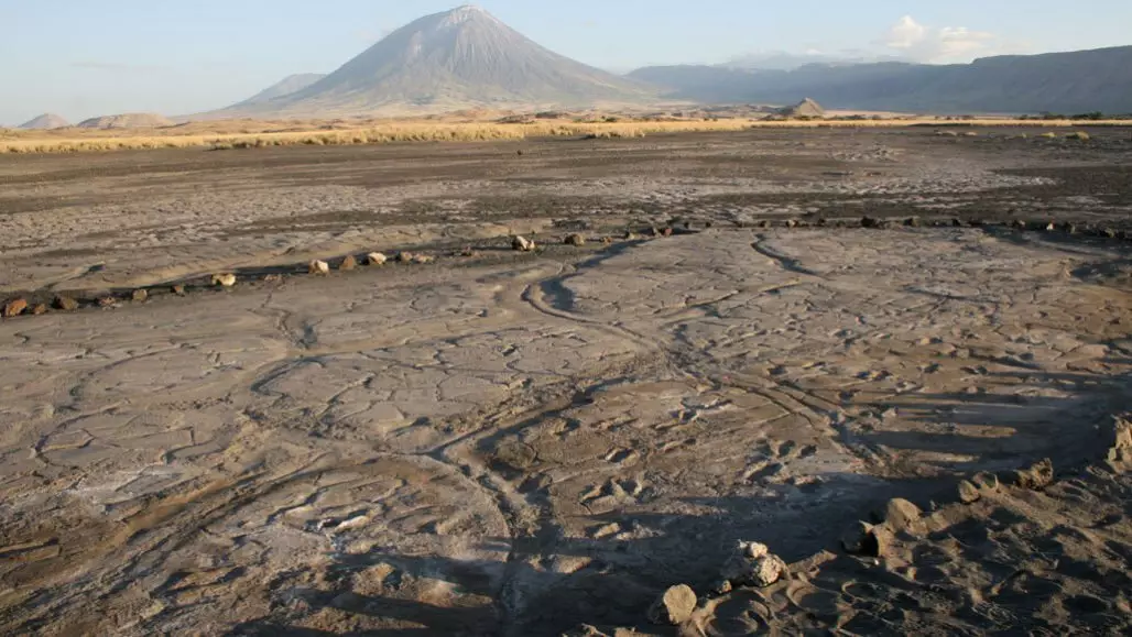 Nära vulkanen hittade den största samlingen av gamla mänskliga spår i Afrika