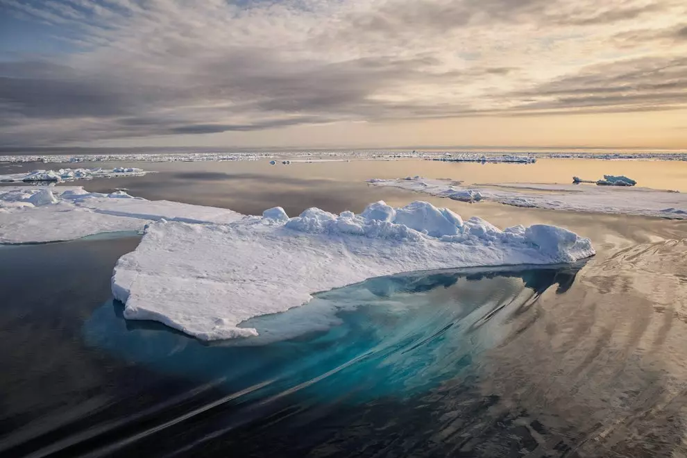 Öar försvinner i Arktis