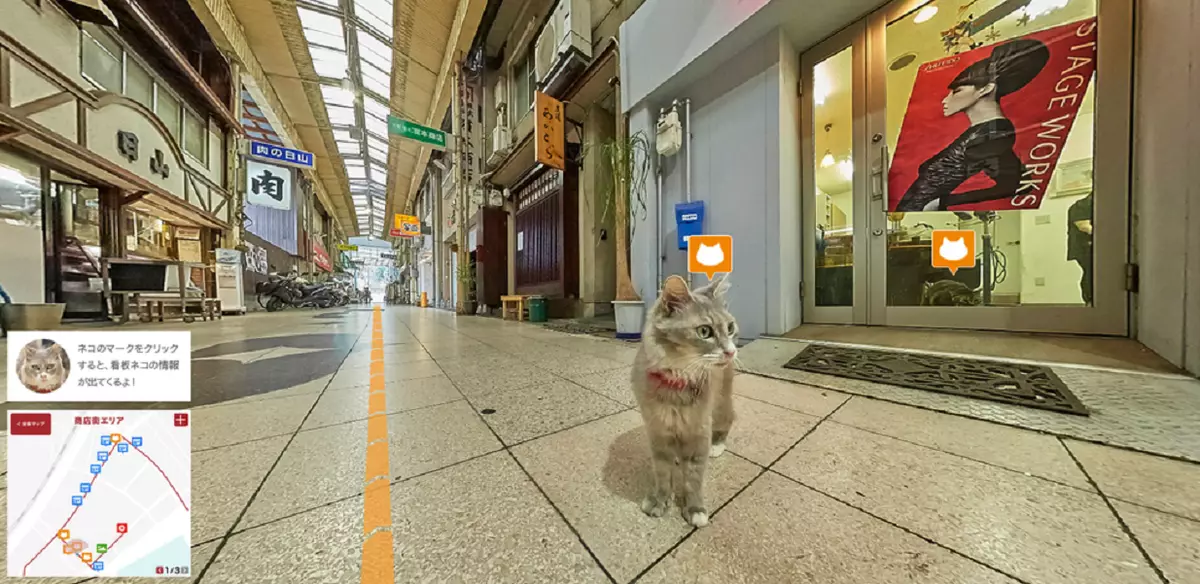 Harta panoramică a fost creată pentru pisici din Japonia