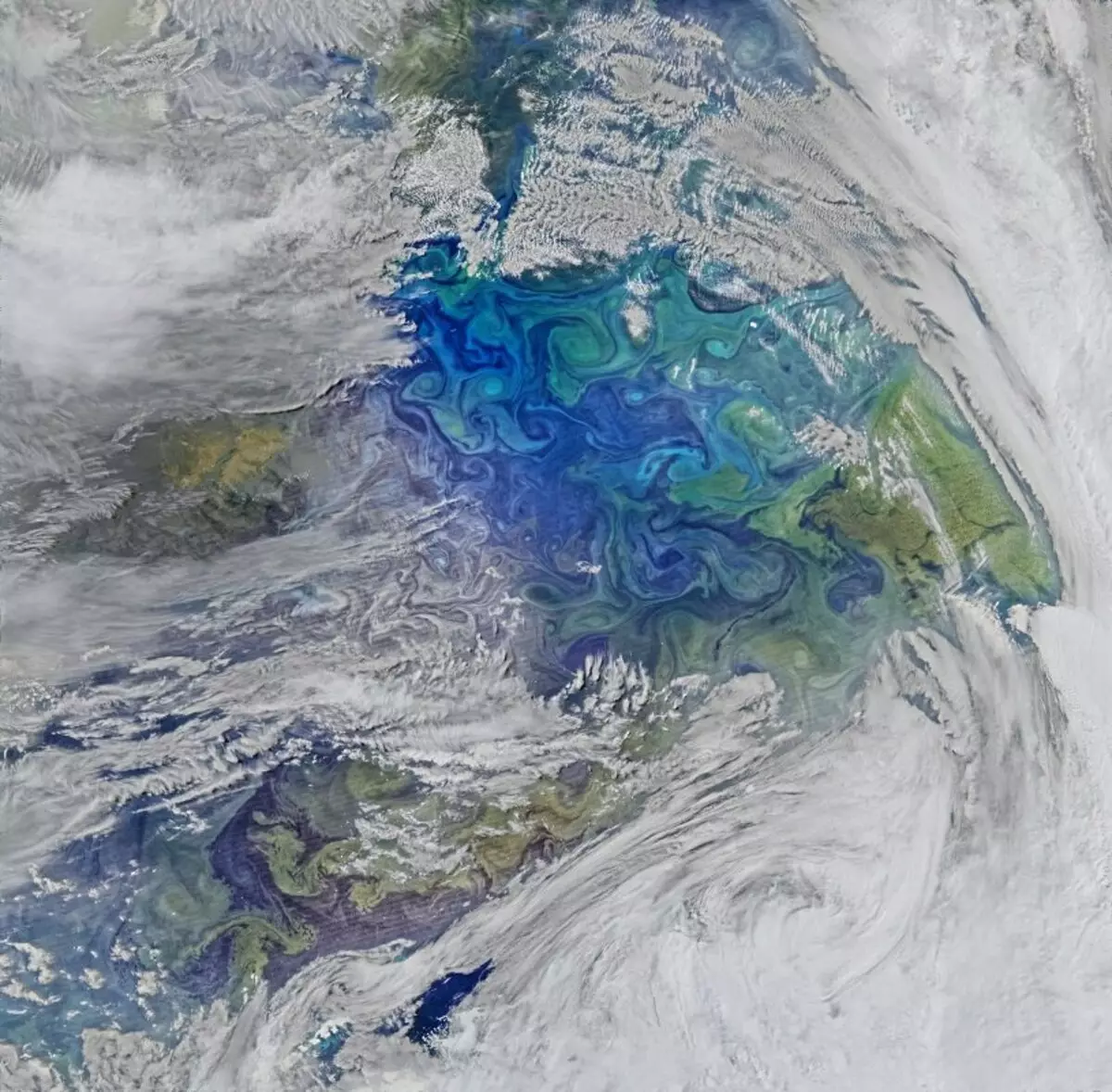 Пролет в Южен Атлантик: снимка на цъфтящи фитопланктон от космоса